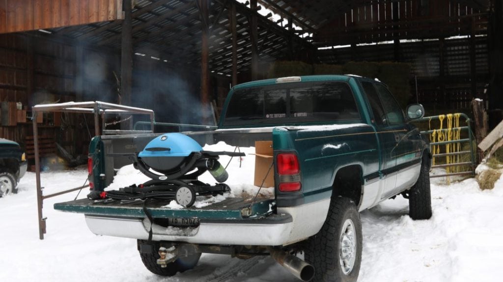 Working cattle in the winter and grilling in the snow